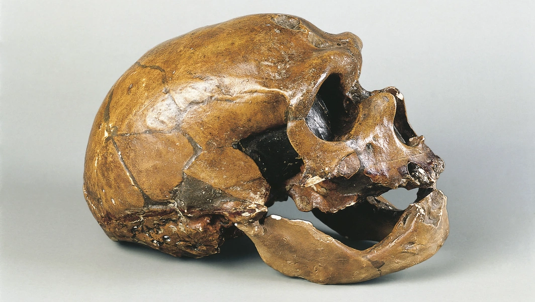 6 fascinating ancient faces reconstructed
