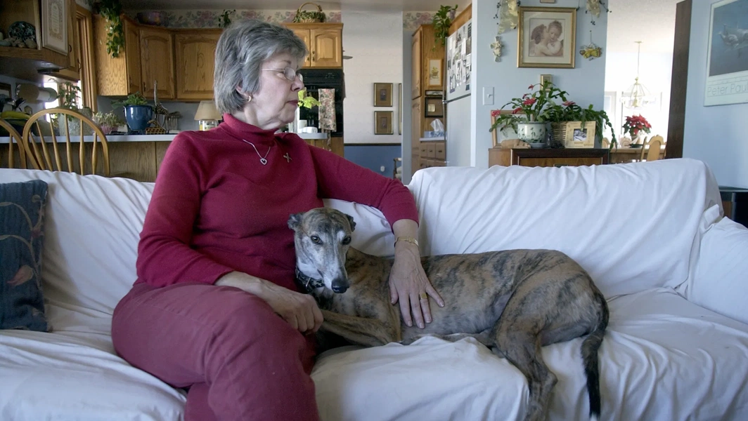 10 dog breeds from laid-back to high-energy