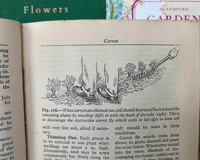 8 gems of garden wisdom I learned from old gardening books