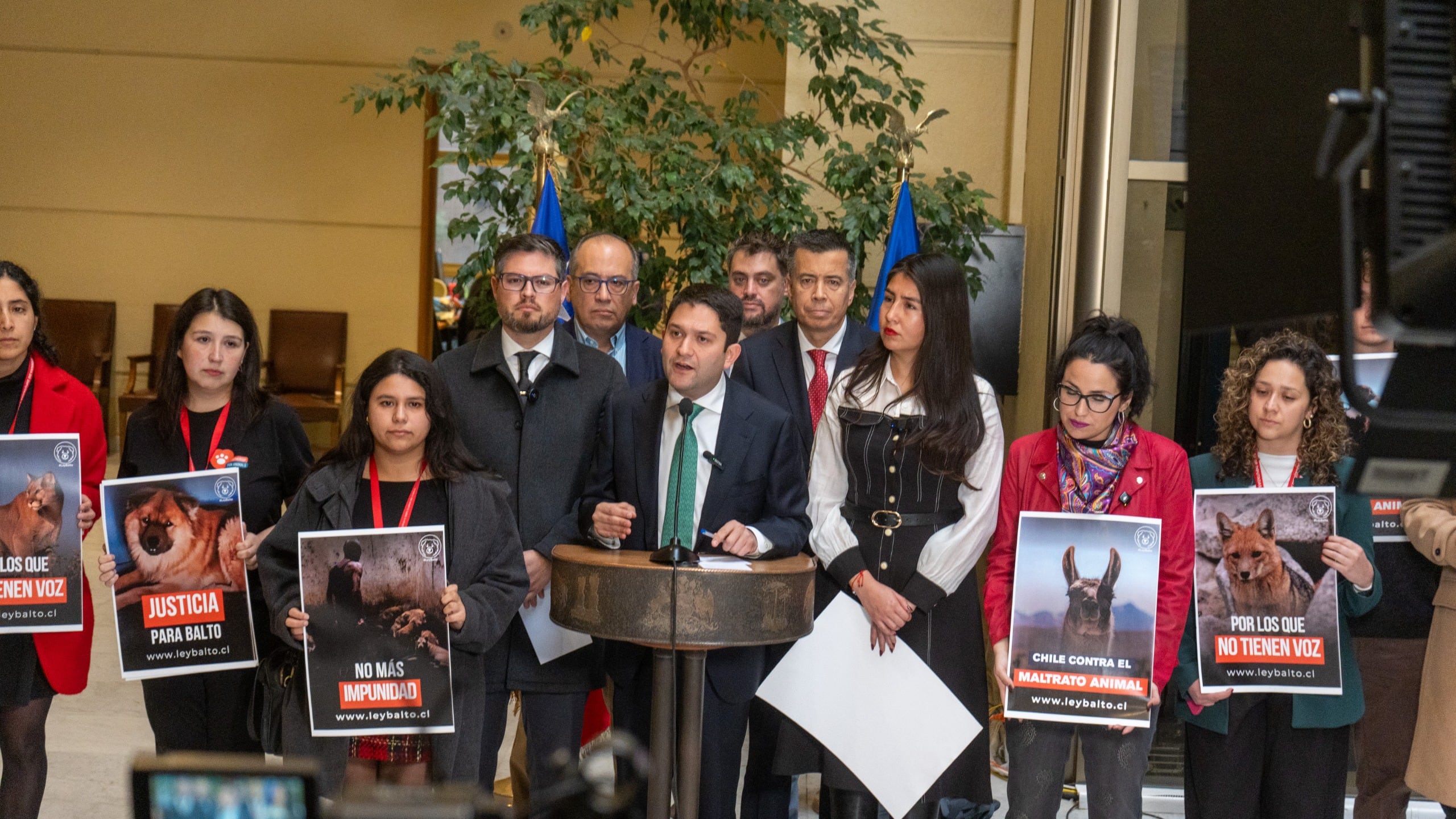 Ley Balto: diputados presentan proyecto para endurecer penas en casos ...