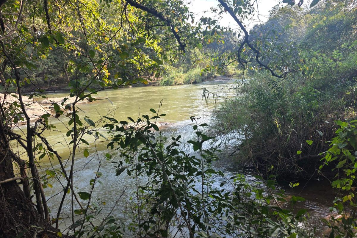 Police recover body of 21-year-old in Crocodile River after nine-day search