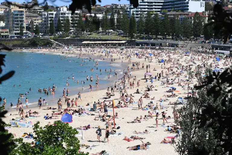 Family break silence after devastating shark attack leaves mom fighting ...