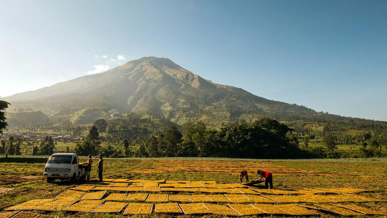 Indonesia's near-identical, 'Twin Peaks' volcanoes form striking mirror ...
