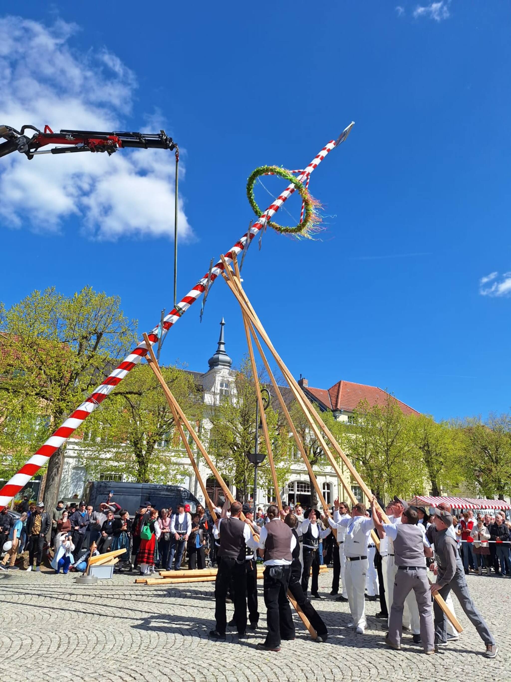 Der große Maibaum-Coup: Wie Jüterbog sein Wahrzeichen an Wittenberg verlor