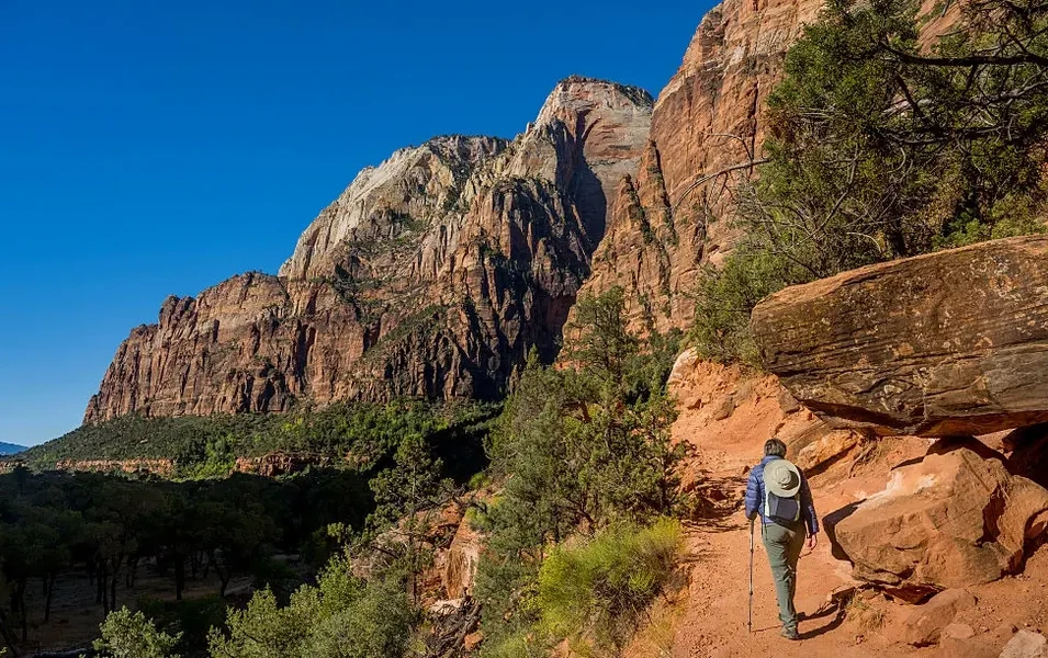 Zion trails, Pacific Northwest escapes, and Google Earth flights debut