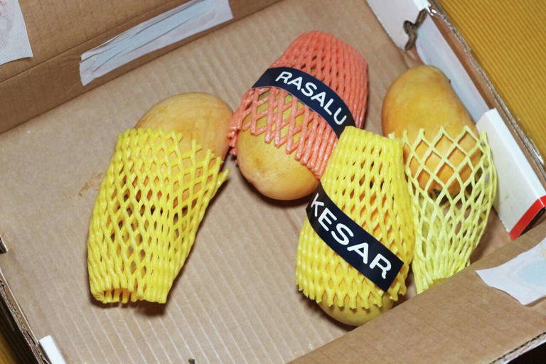 Meet the Bay Area's premier Indian mango plug