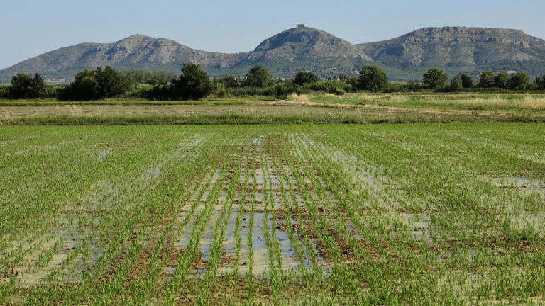 La activa vida rural en el Baix Empordà