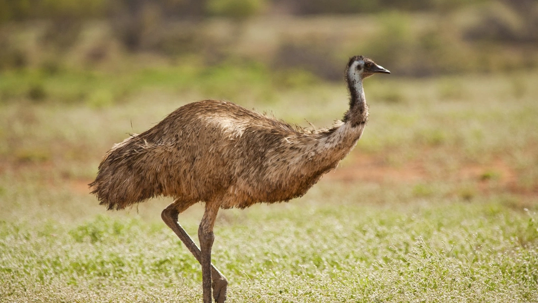 10 unusual and amusing moments from history