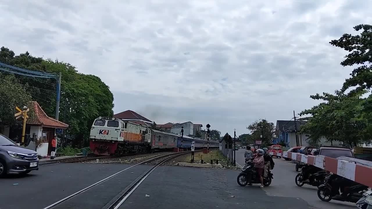 Driver ignores level crossing warnings as train approaches