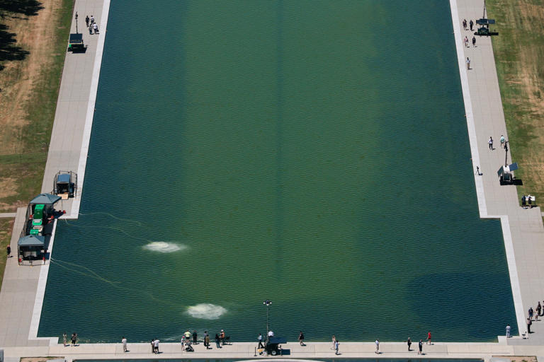 Workers bleach reflecting pool after it turns green