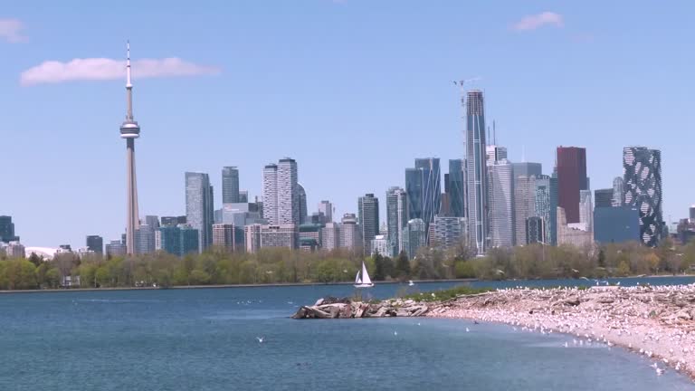Heatwaves, early springs threatening migratory birds in Toronto