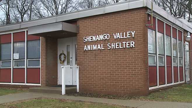 Scammer tries to swindle local animal shelter
