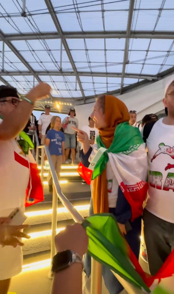 Moment vicious brawl breaks out in stands of Iran World Cup match