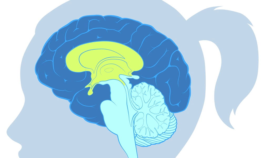 The neuroscience and psychology of swearing