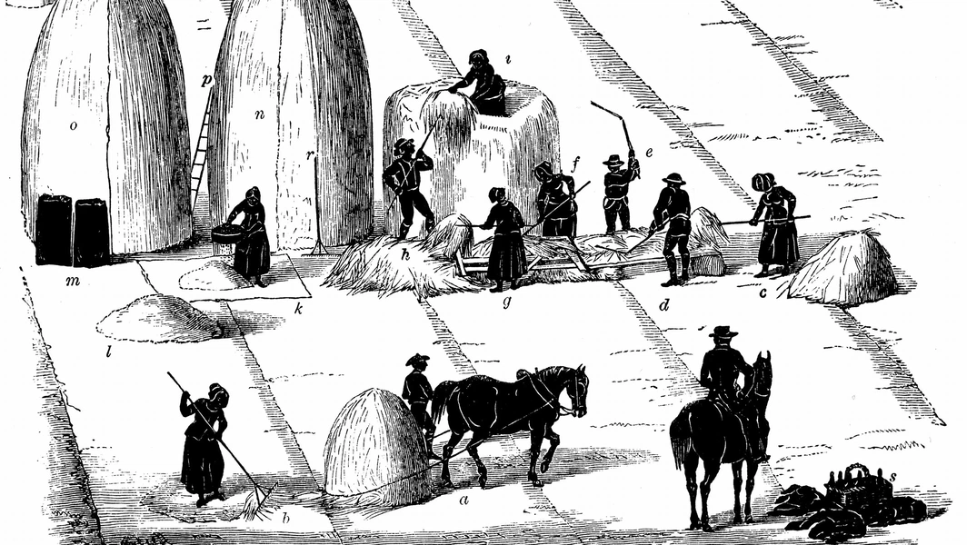 19 traditional farming methods lost to time