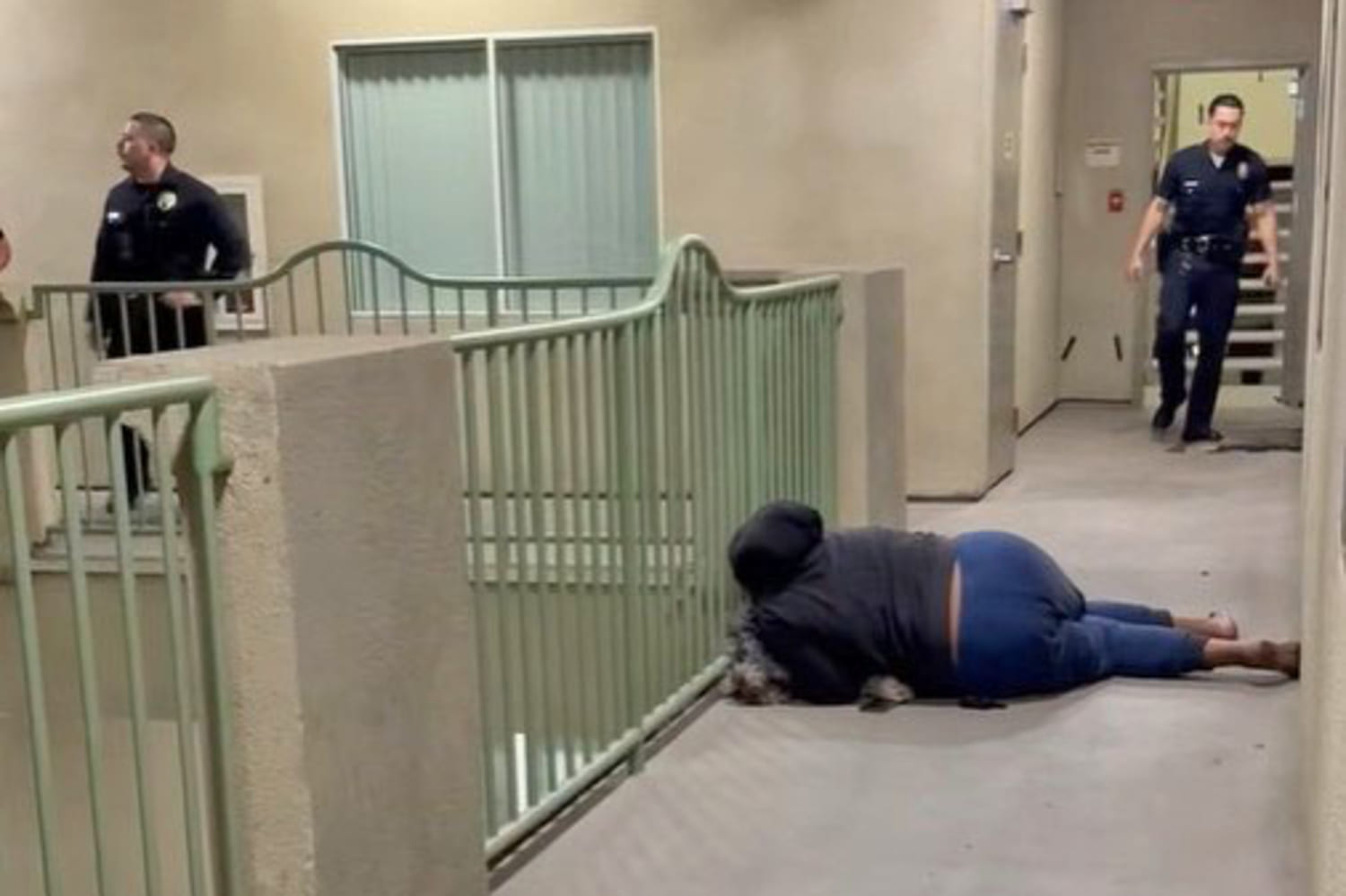 LAPD kills dog in Knicks shirt while responding to call on woman ...