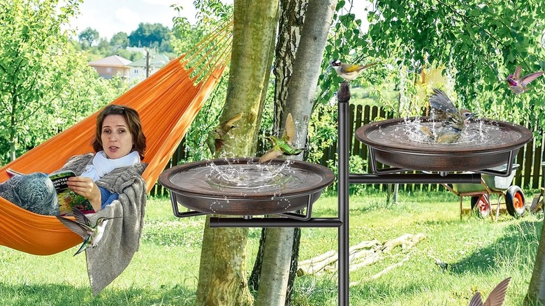 Goodbye traditional bird baths — there's an Amazon find that gives ...