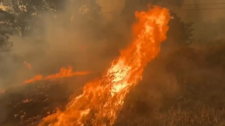 Crews prepare for wildfire season as Oregon governor declares state of ...