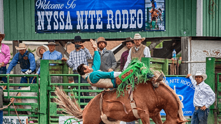Nyssa Nite Rodeo placed on hiatus after failing to secure a new location