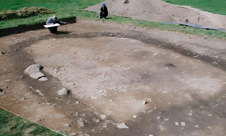 Archaeologists dug into an Irish field and found a massive Viking hall ...