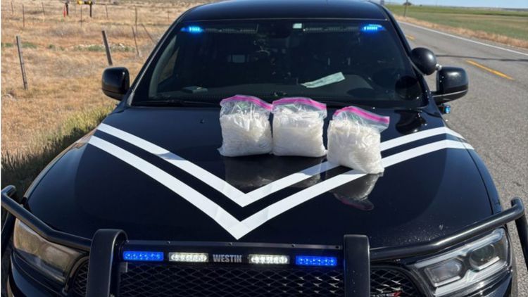 Idaho State Police seize over 11 pounds of meth in Twin Falls County ...
