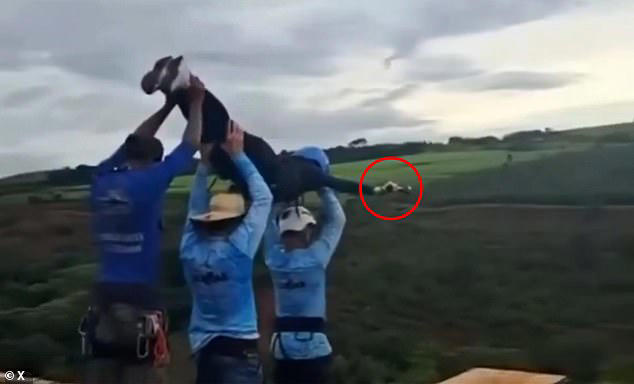 Brazil police desperately search for GoPro camera woman wore that ...