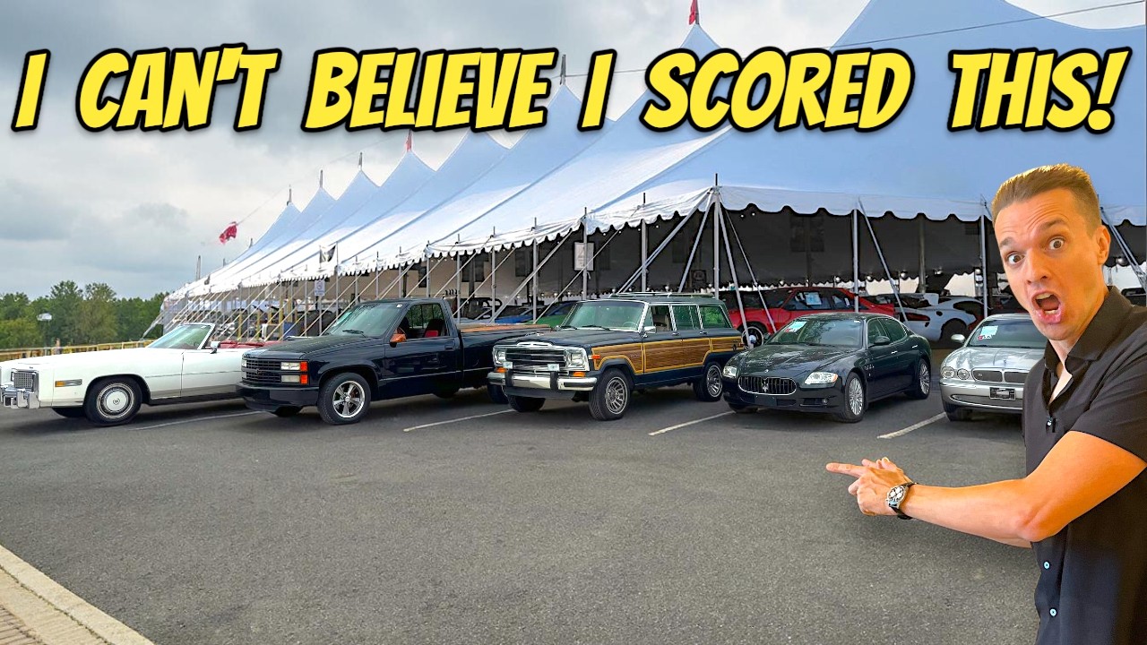 I lost all self-control at a Florida auction... bought 5 cars!