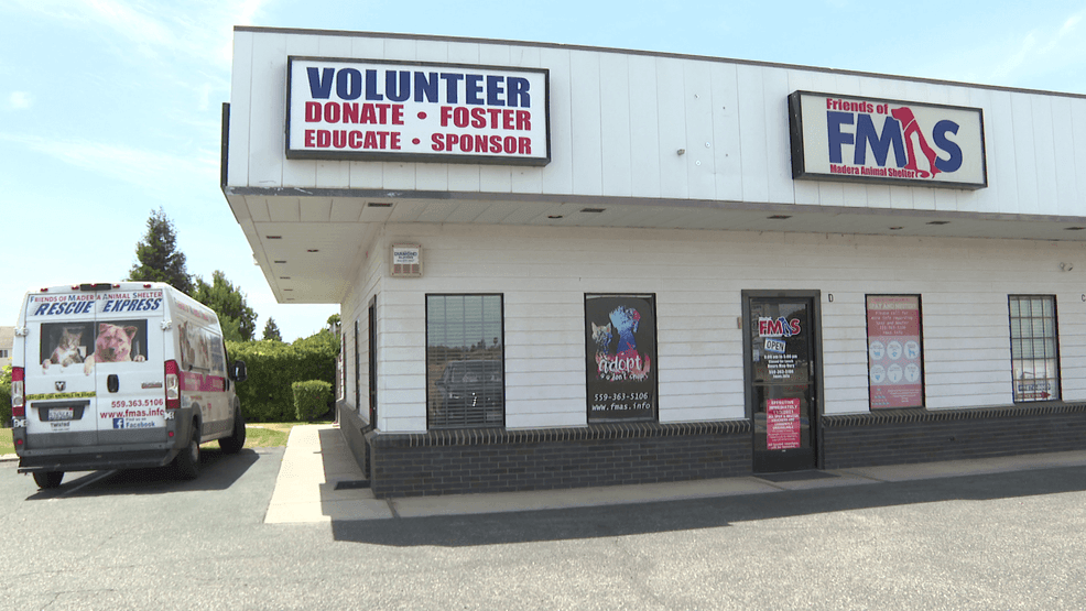 Friends of Madera Animal Shelter reach $80K in donations to stay open ...