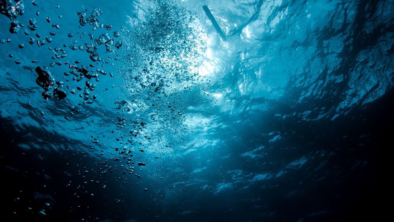 The deepest part of the ocean stays near freezing and crushes anything ...