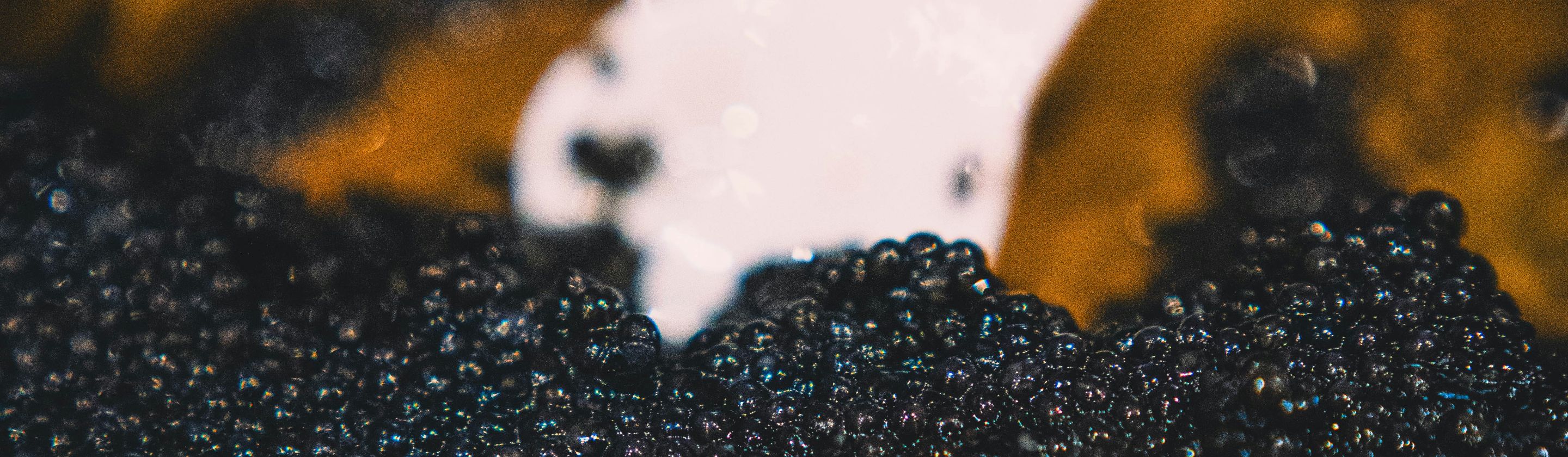 How caviar became the ultimate luxury food