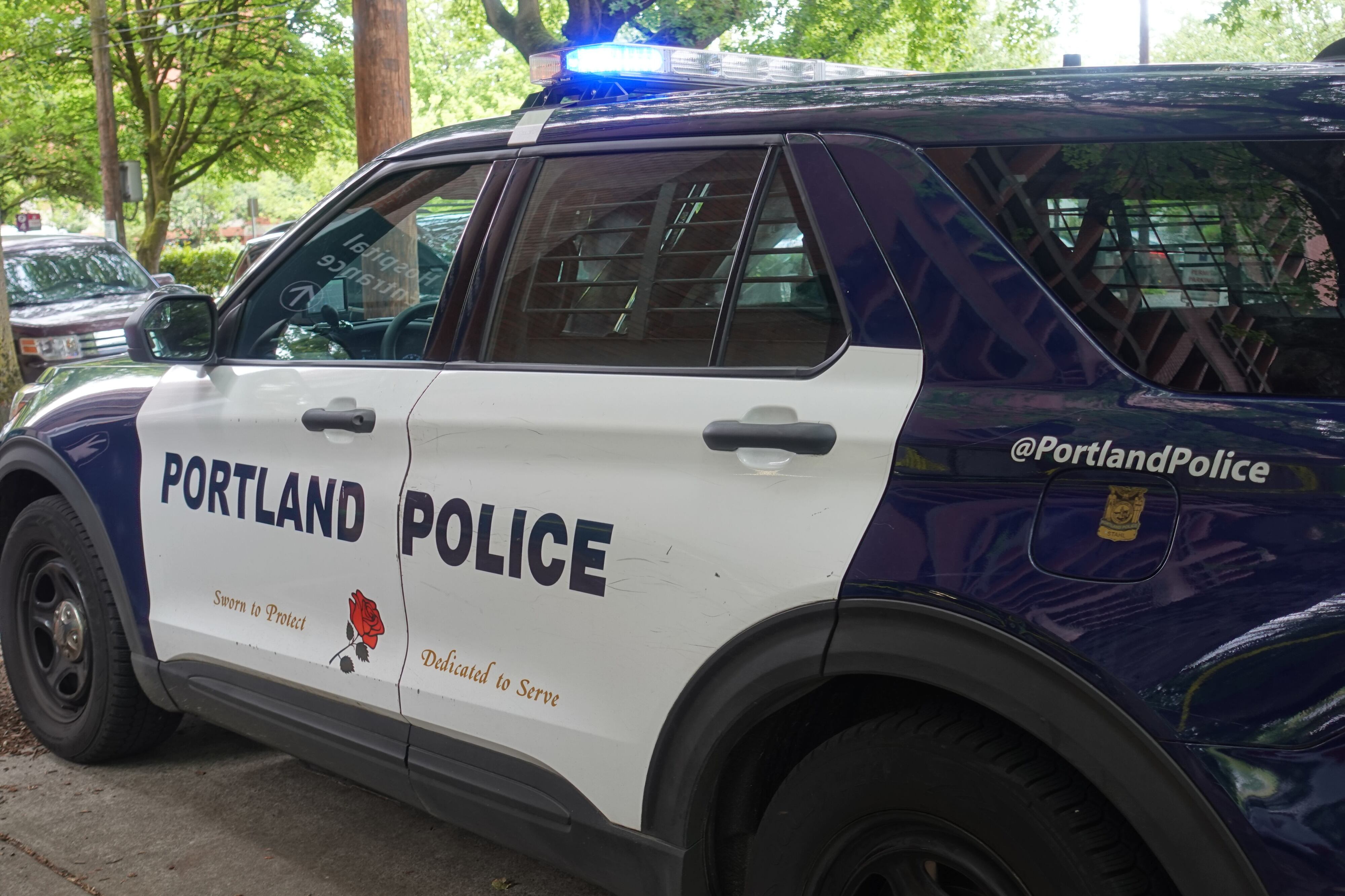Dog 'being punished' left in car for hours amid Portland heat wave ...