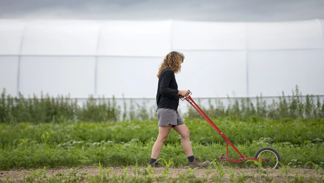 19 hard lessons from homesteading mistakes