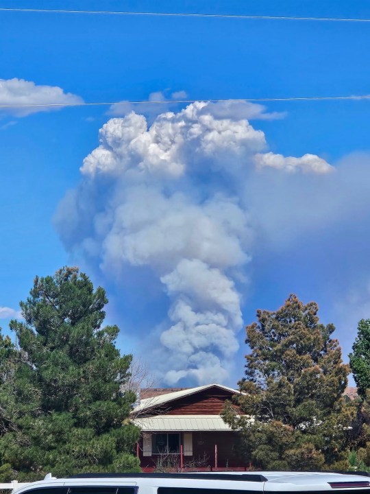 Wildfire near Utah-Arizona border grows to 1,000 acres, structures ...