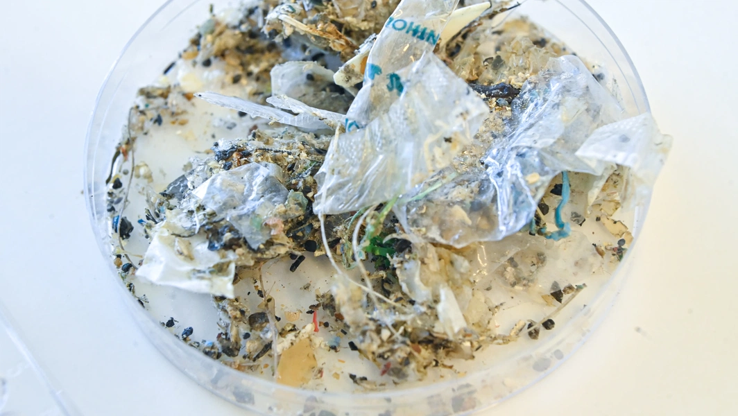 Understanding microplastics and their global impact