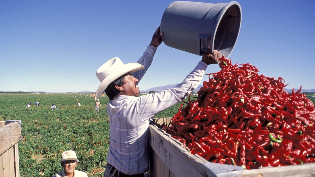 The rise and fall of New Mexico's Chili Line