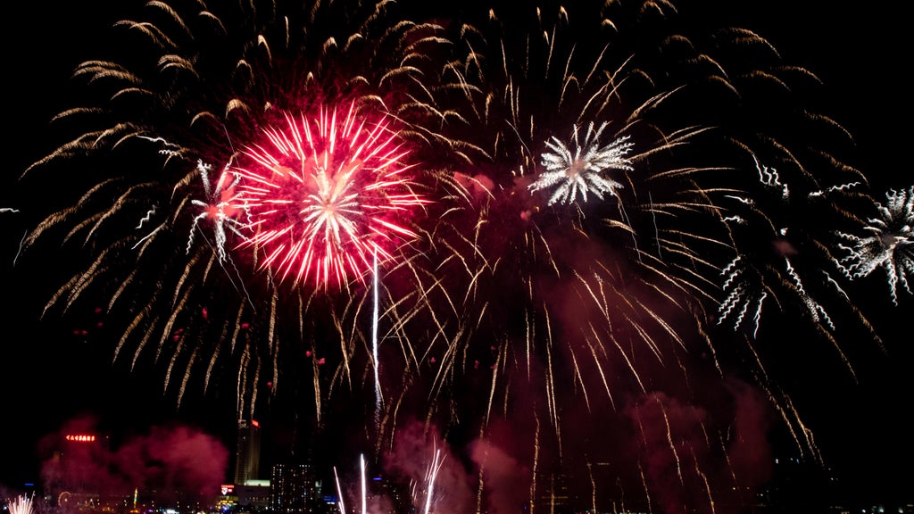 Detroit City Council approves 8 p.m. curfew for teens on Ford Fireworks ...