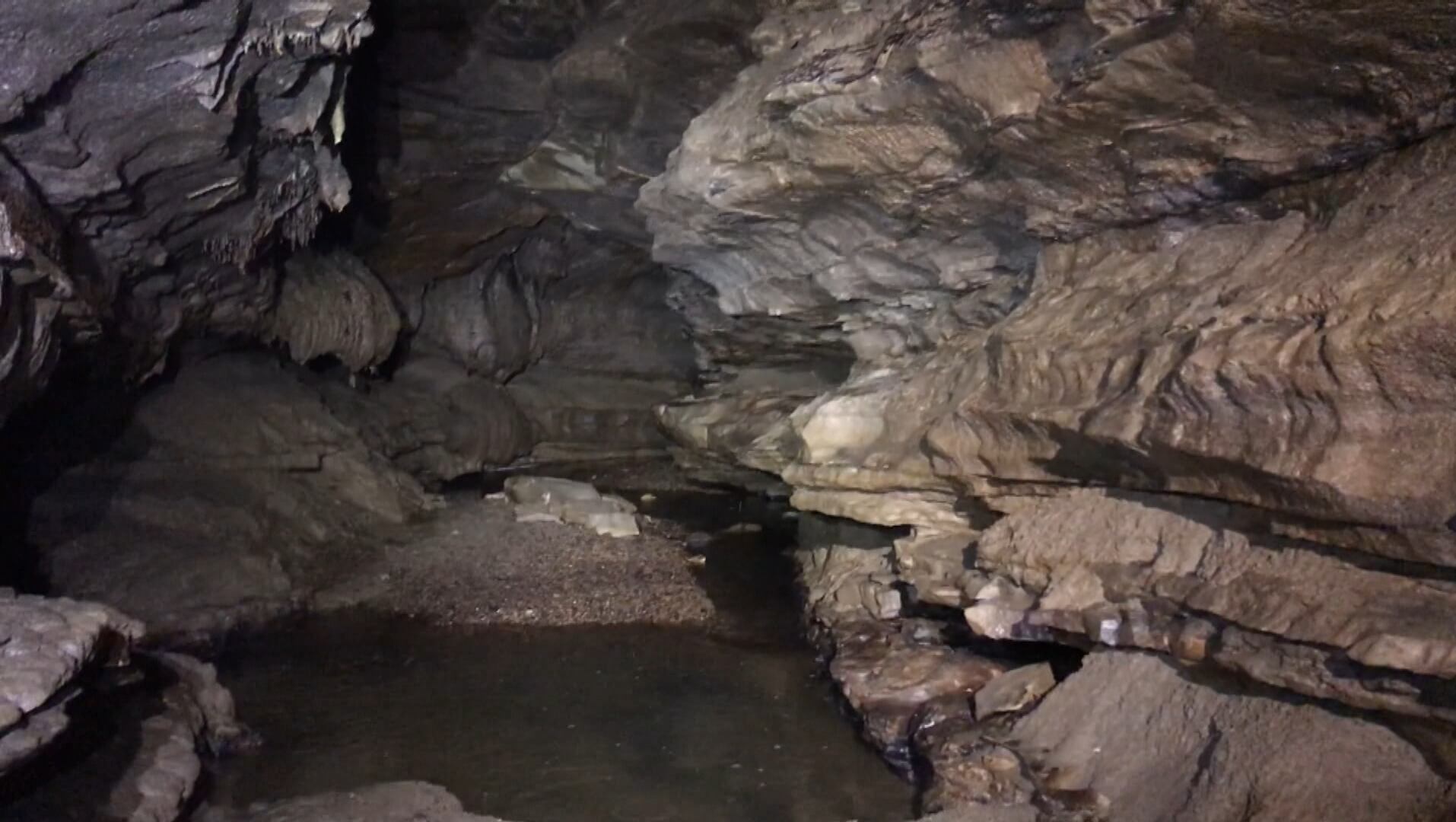 Intro to wild caving program will take people down into Perry County cave