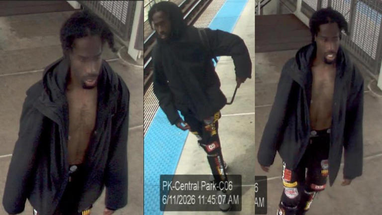 Chicago police seek man who punched woman in the head at CTA Pink Line ...