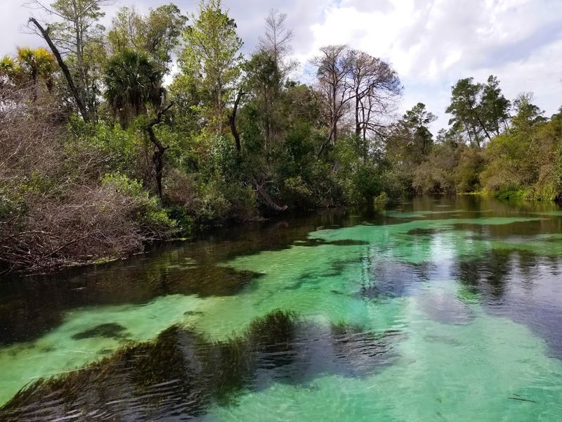 This Florida spring still has live mermaid shows in a real underwater ...