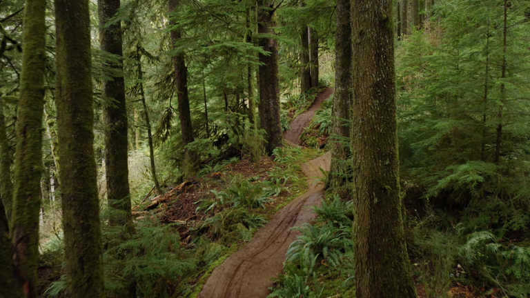 Art from dirt: Pacific City’s new coastal MTB trails