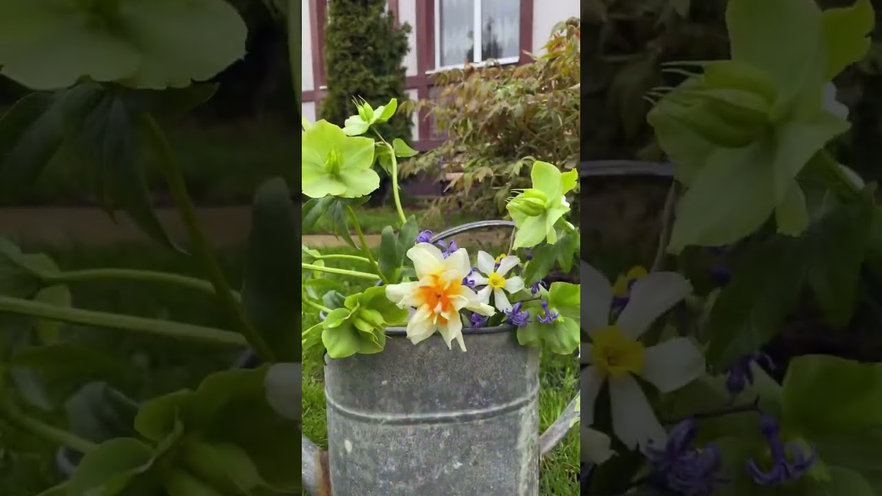 A wealth of spring cozy inspiration