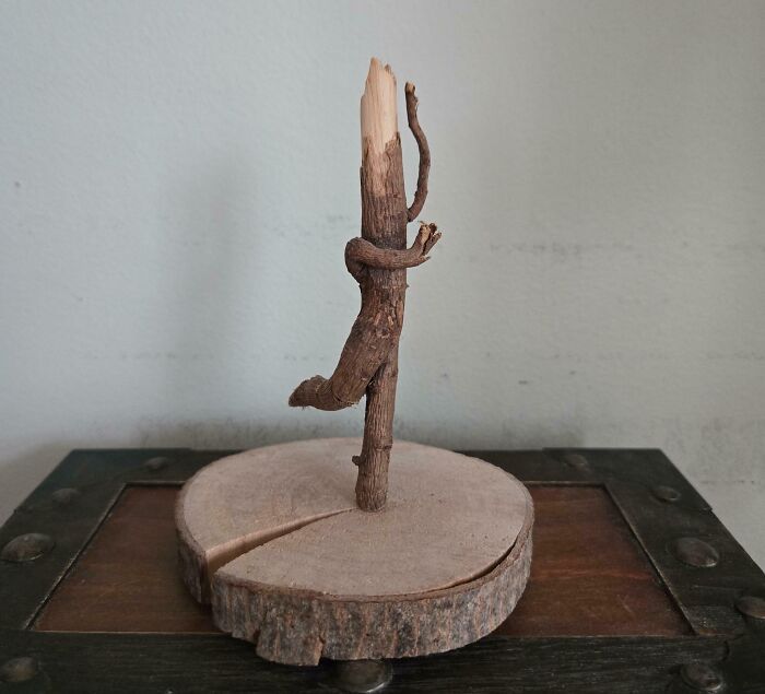 48 examples of ordinary objects looking like something else entirely