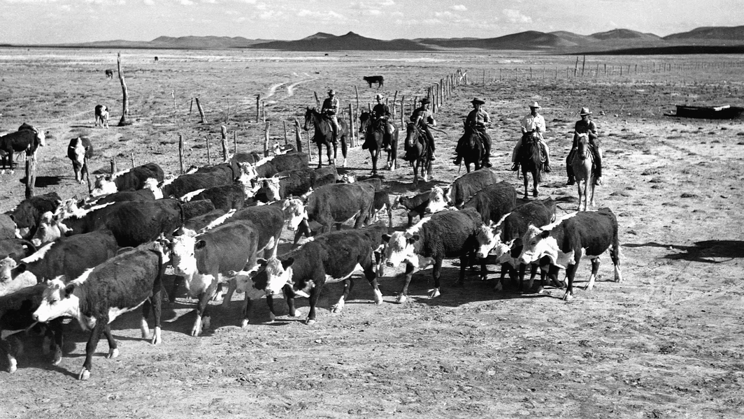 13 striking images from the American Old West