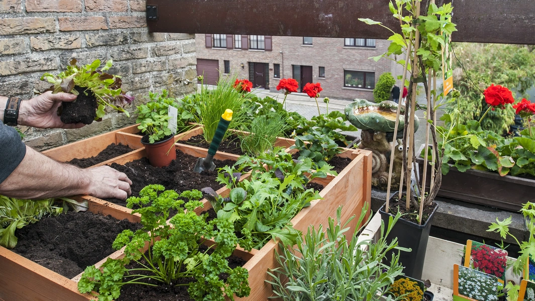 Small space magic with container gardens