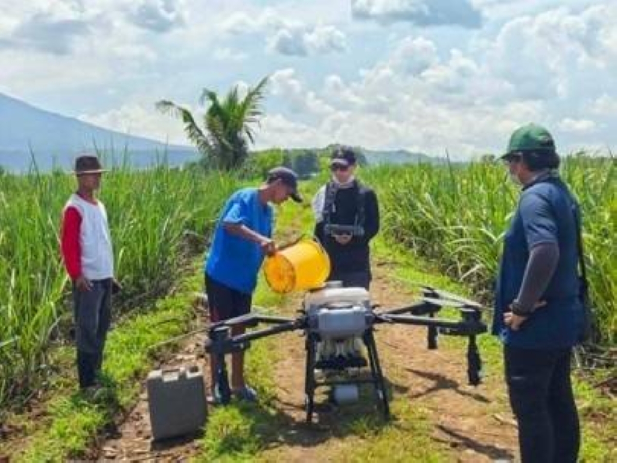 SRA uses drones to combat sugarcane pests