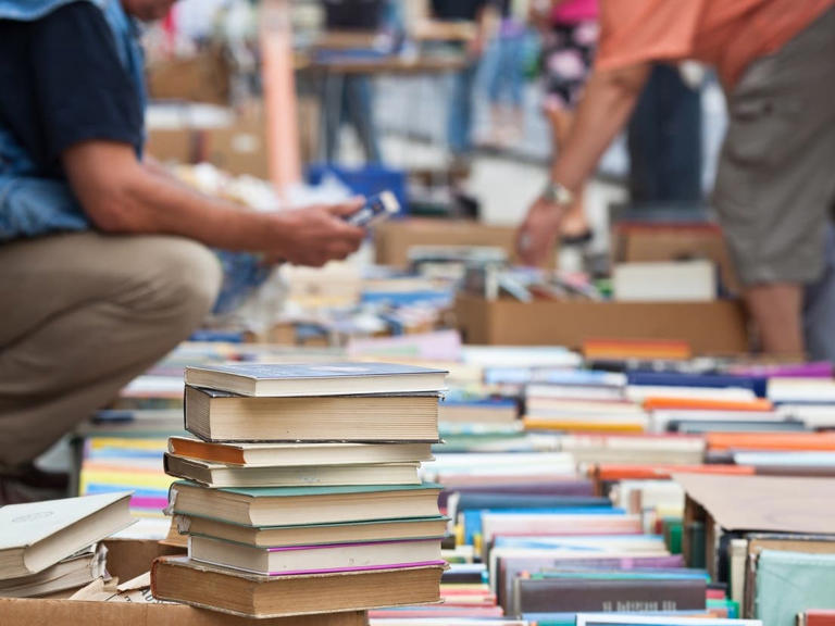 Former Healdsburg Plaza book shop owner faces losing lifetime collection