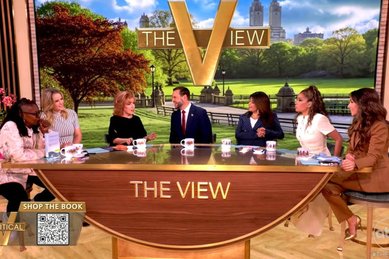 JD Vance addresses on “The View” controversial 'childless cat ladies ...