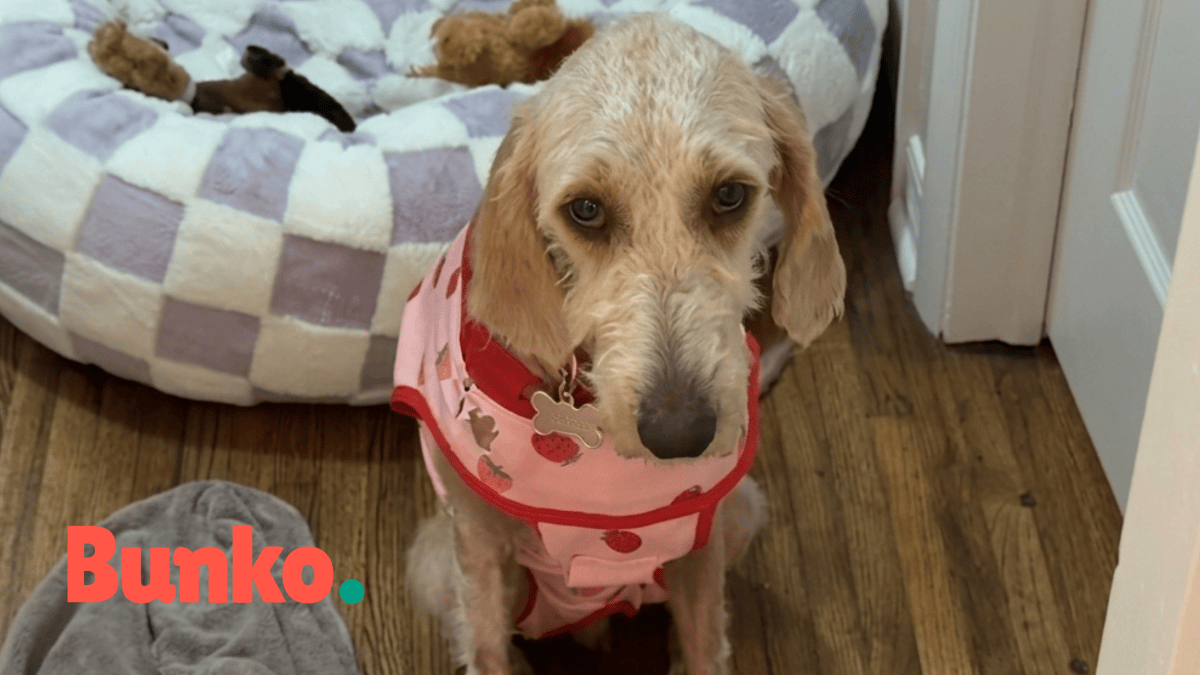 Daisy Was Covered in Infections and Barely Alive Daisys Miracle Story
