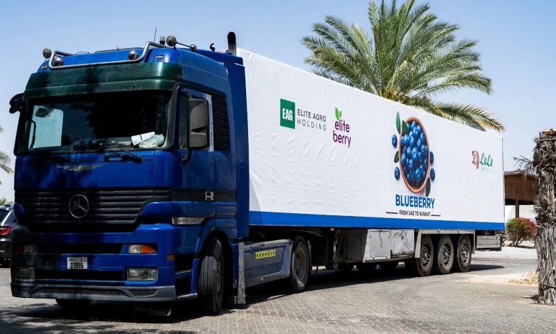 UAE's Elite Agro opens seventh berry farm in Morocco