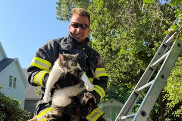 Firefighters rescue cat named Johnny Cash after high-stakes climb up tree